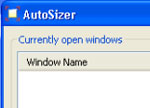 AutoSizer - Tự động thay đổi kích thước chương trình - Download.com.vn