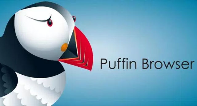 Puffin Secure Browser 8.2.1.666 - Trình duyệt web nhanh, bảo mật cho máy tính