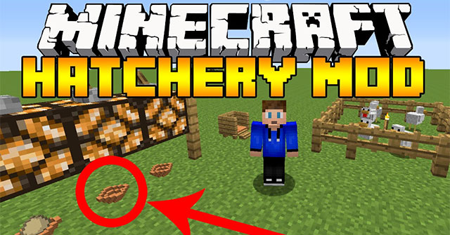 Hatchery Mod - Mod quản lý trang trại gà trong Minecraft - Download.com.vn