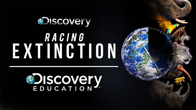 Cuộc đua tuyệt chủng - Racing Extinction (2015) - Download.com.vn