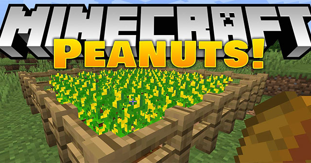 Peanuts Mod - Minecraft Mod trồng lạc - Download.com.vn
