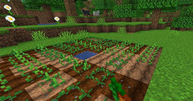 Replanting Crops Mod - Minecraft Mod tự động thu hoạch, gieo hạt và ...