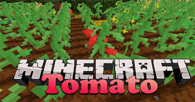 Tomato Mod - Mod trồng, thu hoạch và làm súp Cà chua - Download.com.vn