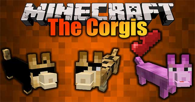 The Corgis Mod - Mod chó Corgi cho Minecraft - Download.com.vn
