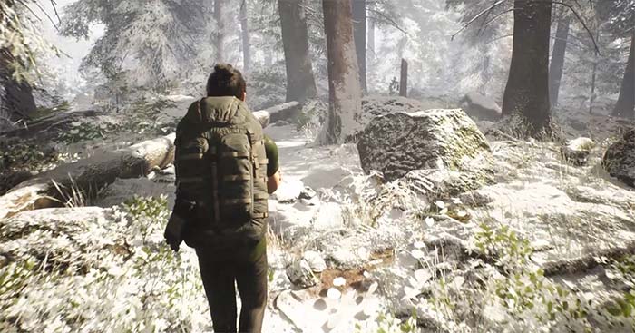 Rooted - Game sinh tồn co-op hậu tận thế - Download.com.vn