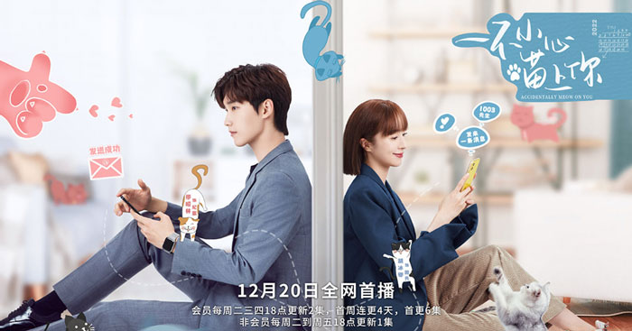 Bất Cẩn Meow Phải Anh - Accidentally Meow On You - Phim Ngôn tình Trung ...