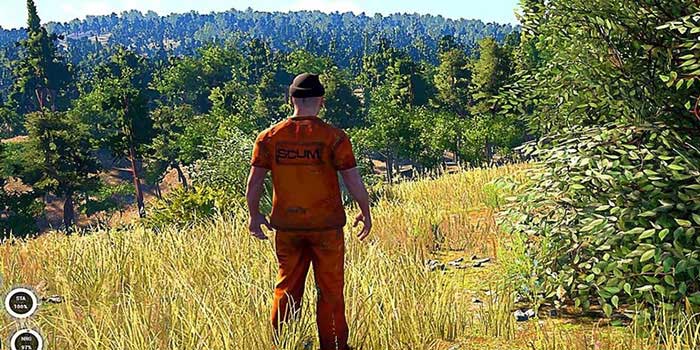 Những mẹo vượt ngục và sinh tồn trong SCUM - Download.com.vn