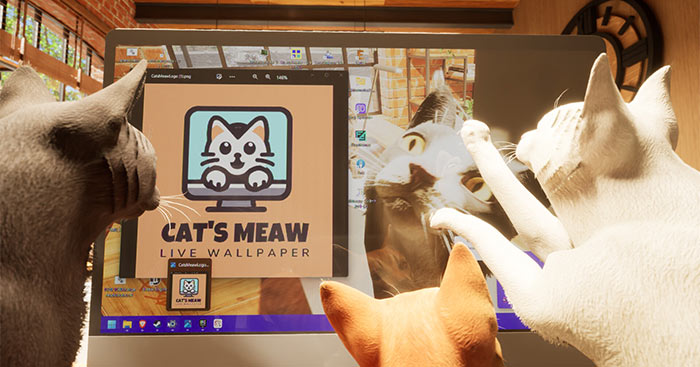 Cat's Meow Live Wallpaper - Game nuôi mèo sống động trên desktop
