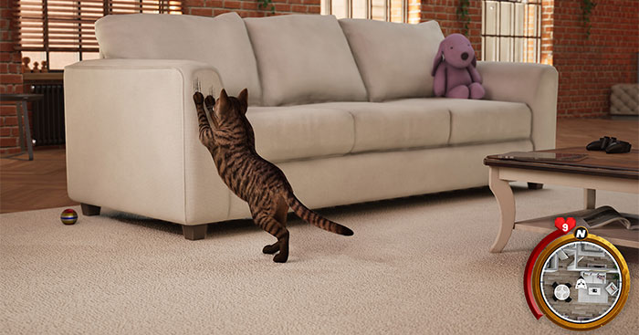 Cat Life Simulator - Game mèo con phiêu lưu ký - Download.com.vn