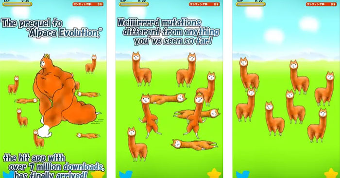 Alpaca Evolution Begins cho iOS 1.0.15 - Download.com.vn