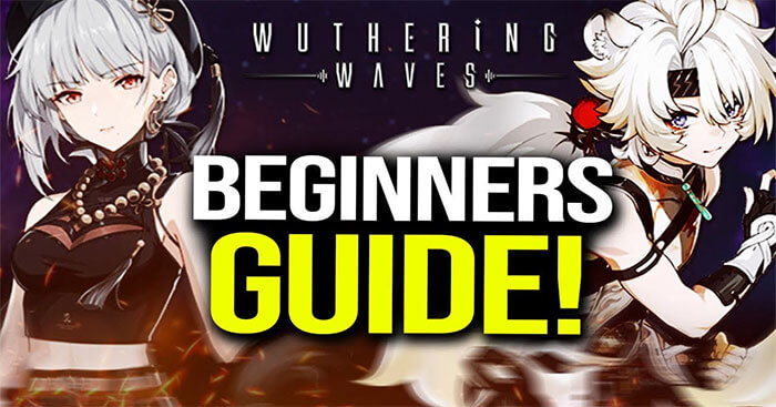 Hướng dẫn chơi Wuthering Waves cho người mới, mẹo và thủ thuật lên cấp ...