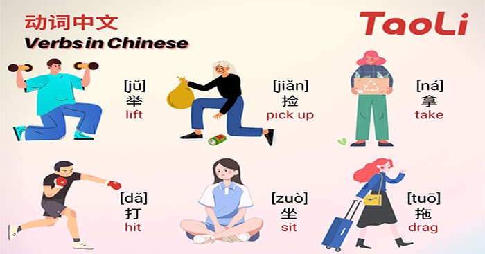 TaoLiChinese cho Android 4.7.0 - Ứng dụng học tiếng Trung - Download.com.vn TaoLiChinese cho Android 4.7.0 - Ứng dụng học tiếng Trung - Download.com.vn