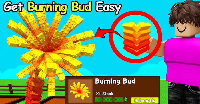 Cách lấy Burning Bud trong Grow A Garden - Download.com.vn